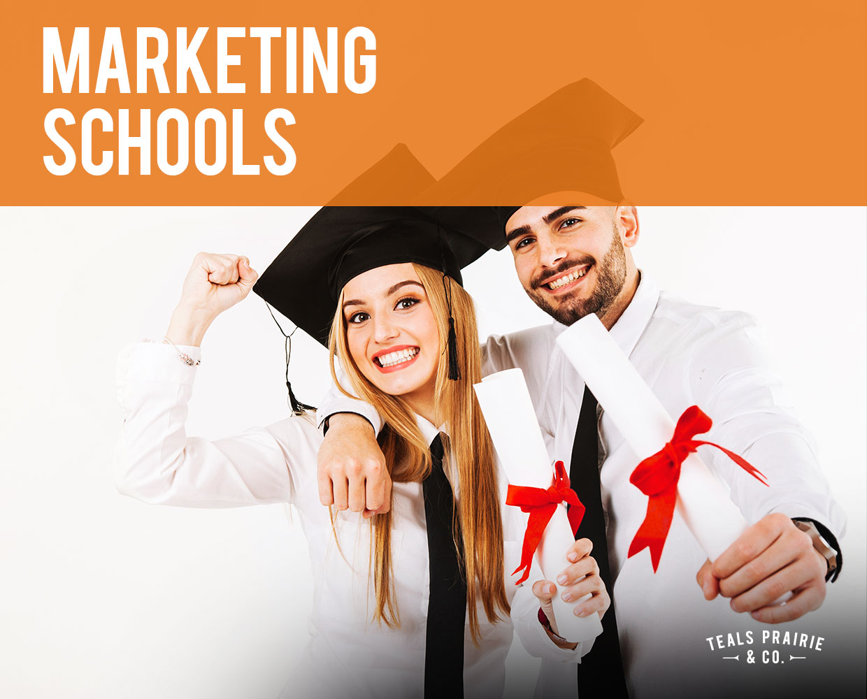 Marketing Schools