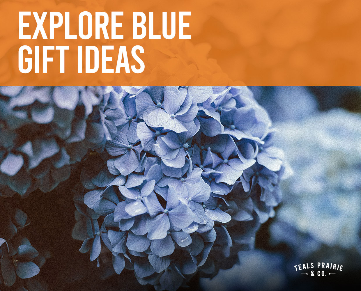 Explore Gift Products in Blue
